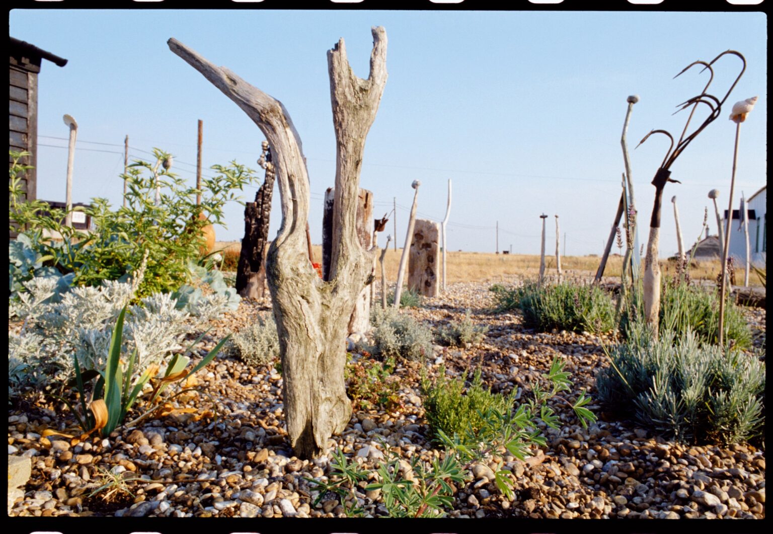 Radical Landscapes - William Morris Gallery