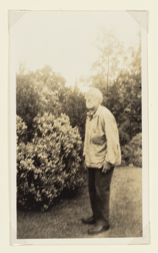 Arthur Heygate Mackmurdo - William Morris Gallery